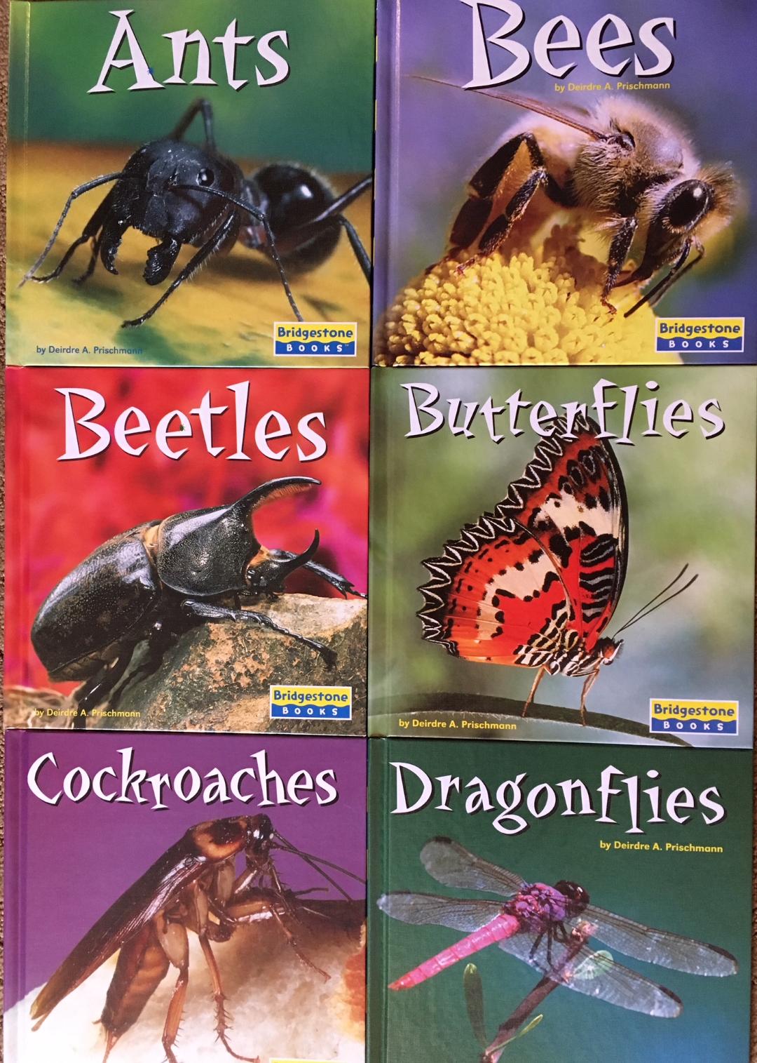 Non-fiction – D.A. Prischmann